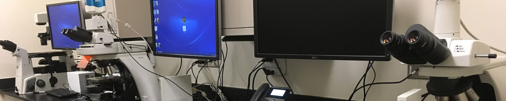 ChemDraw at Grand Valley State University - College of Liberal Arts and ...